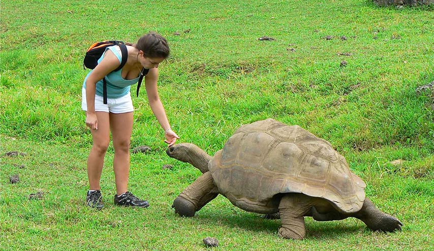 Falaise Rouge Restaurant - Vallée de Ferney